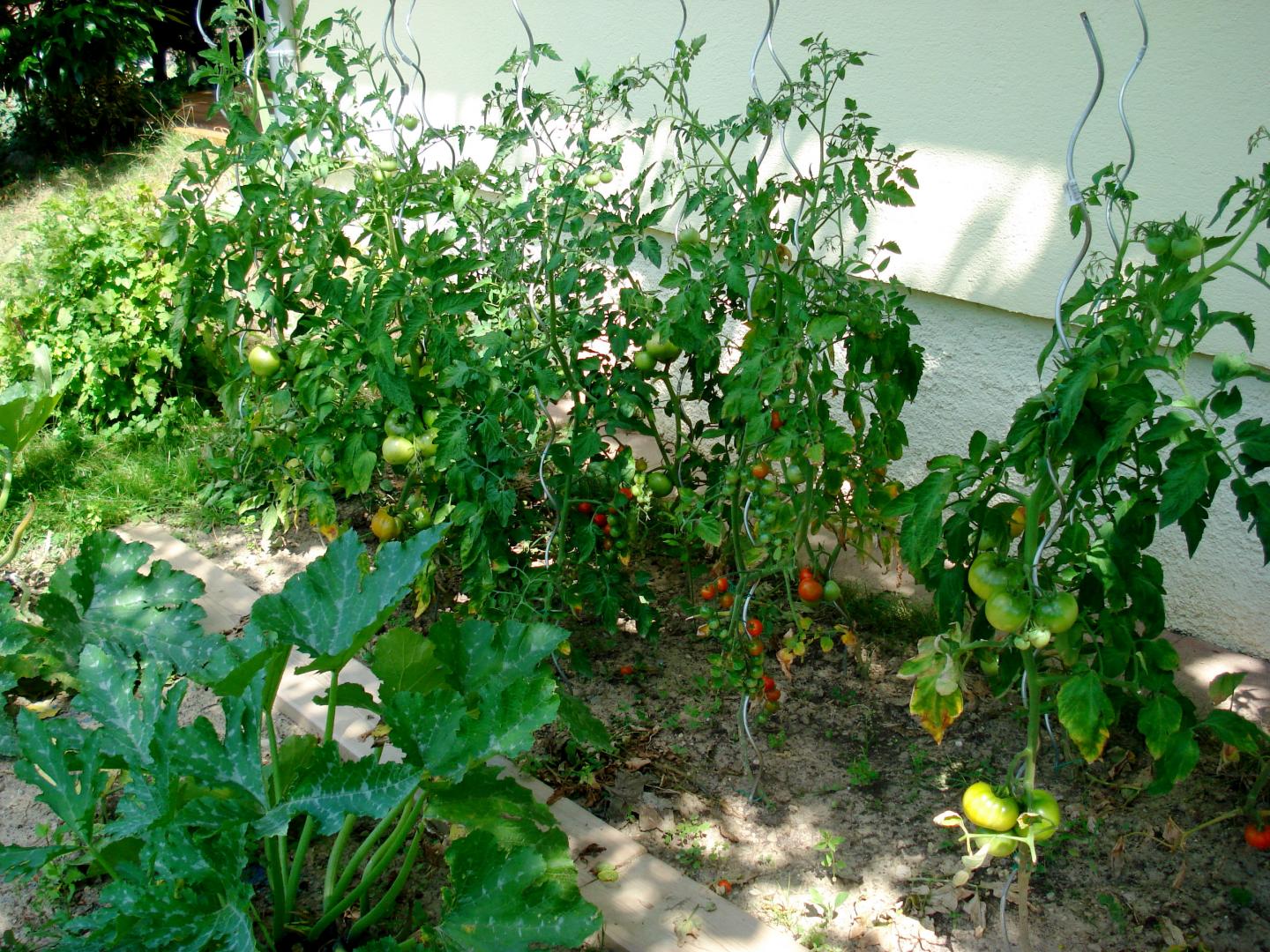 Aménager son potager, Conseils jardinage | Mag Maison